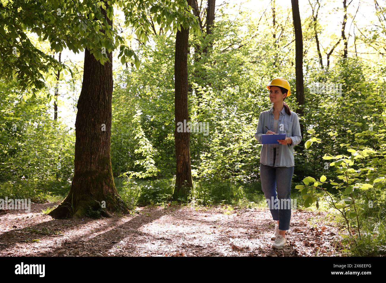 Forester with clipboard examining plants in forest Stock Photo - Alamy