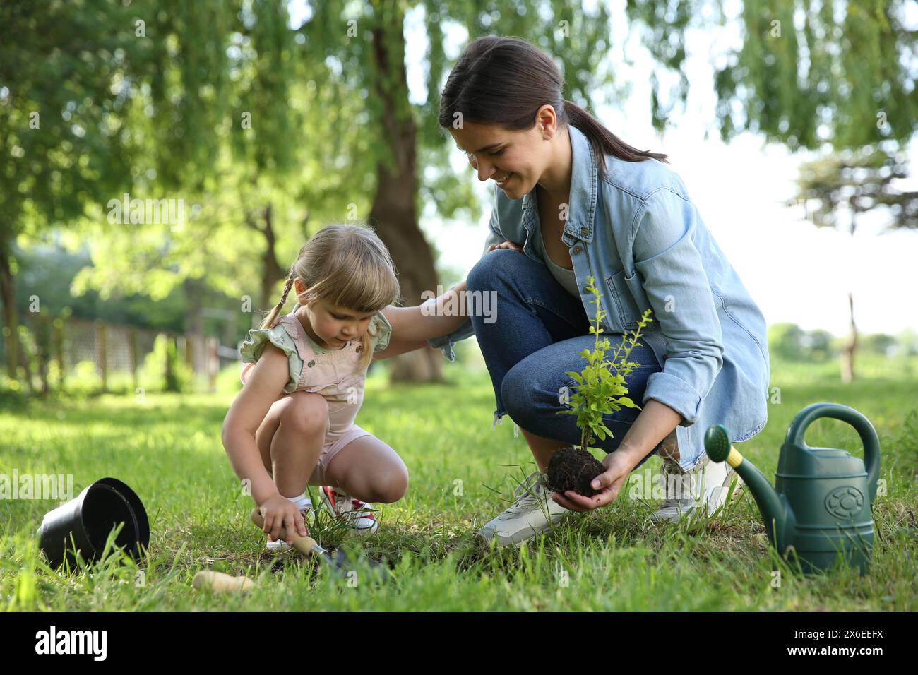 Mother and her daughter planting tree together in garden Stock Photo ...