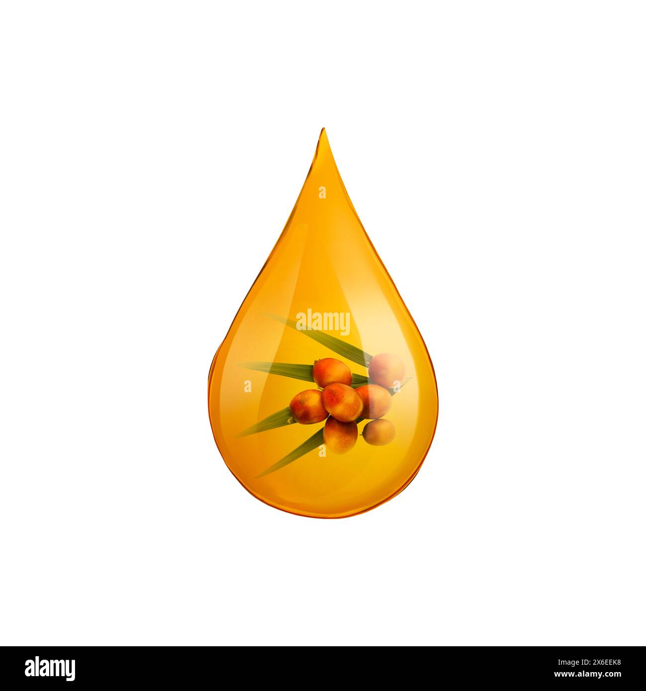 Cooking oil drop with palm leaf and fruits isolated on white Stock ...