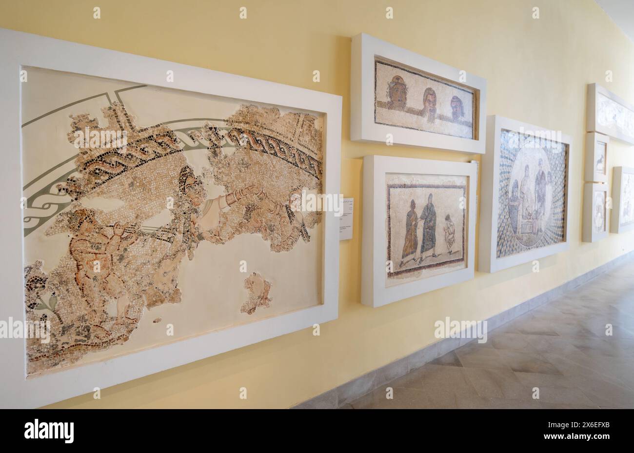 Collection of Roman mosaics displayed in Sousse Archaeological Museum ...