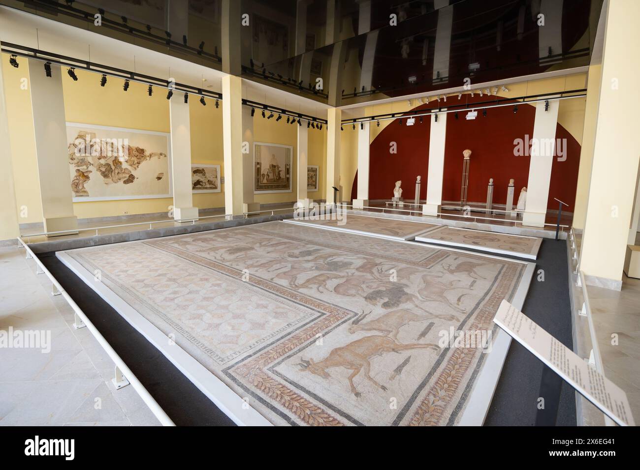 Mosaic patterns and ancient mosaics in archaeological museum in Tunis ...