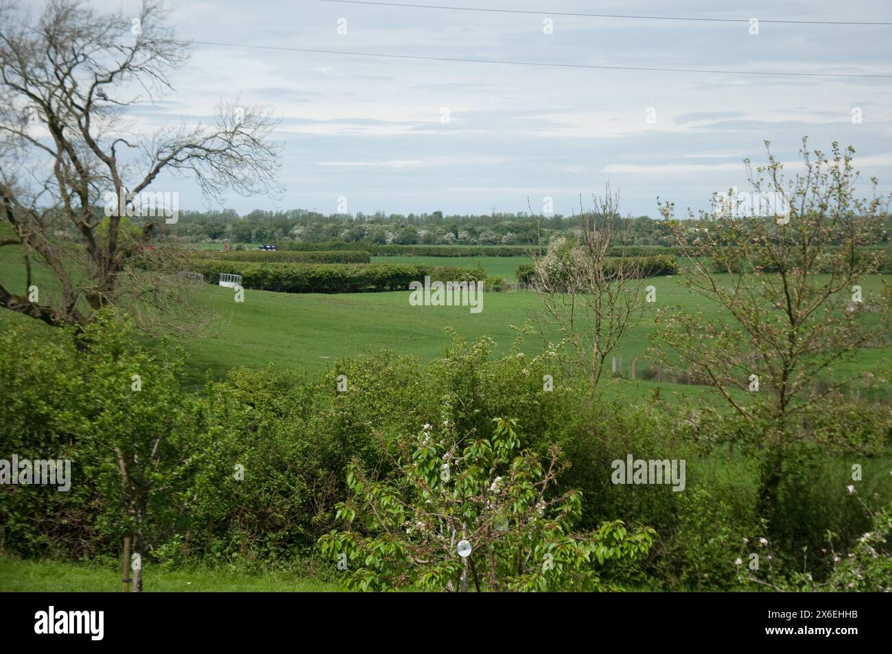 Rural landscape, Preston, Lancashire, UK. Fields, trees, fruit trees ...