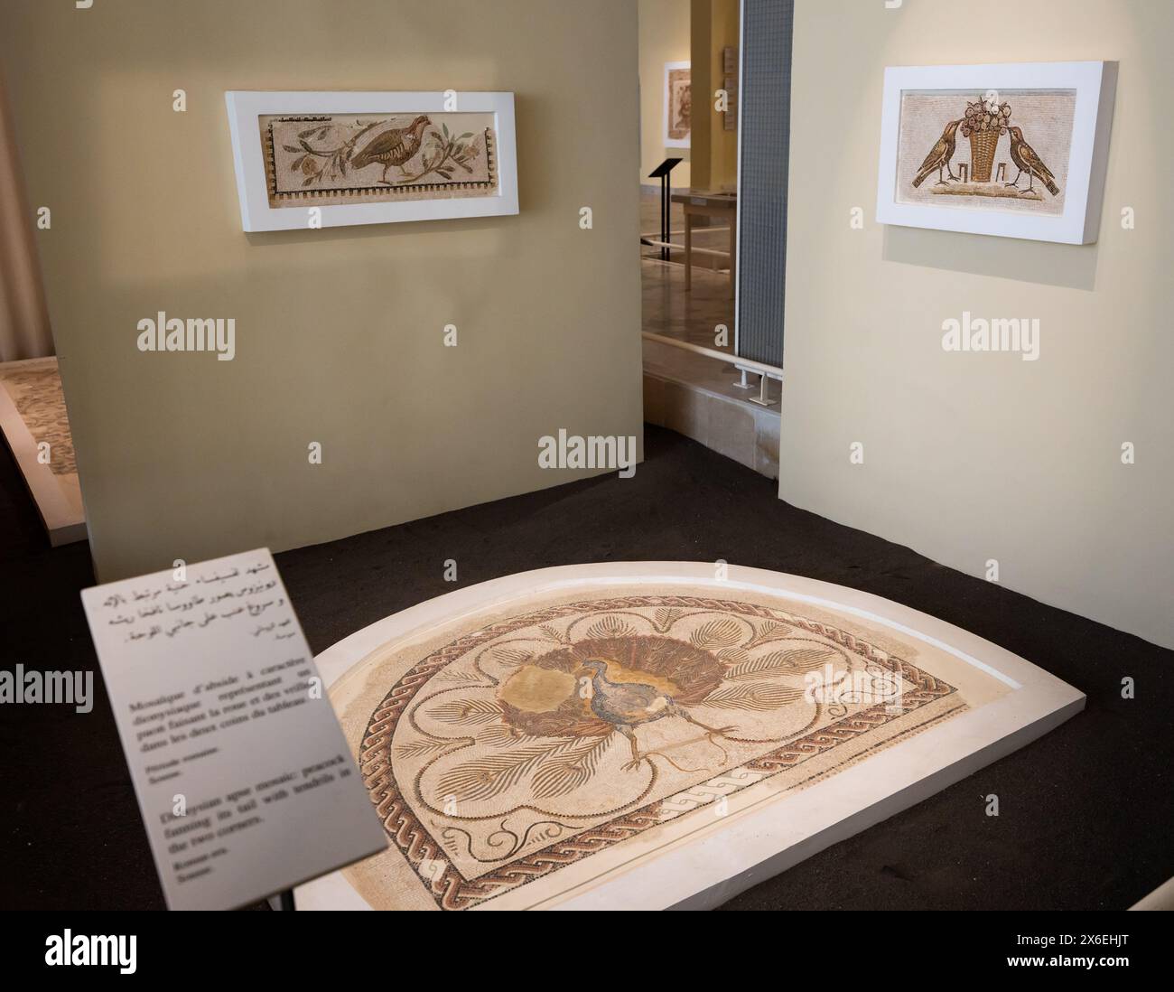 Collection of Roman mosaics displayed in Sousse Archaeological Museum ...