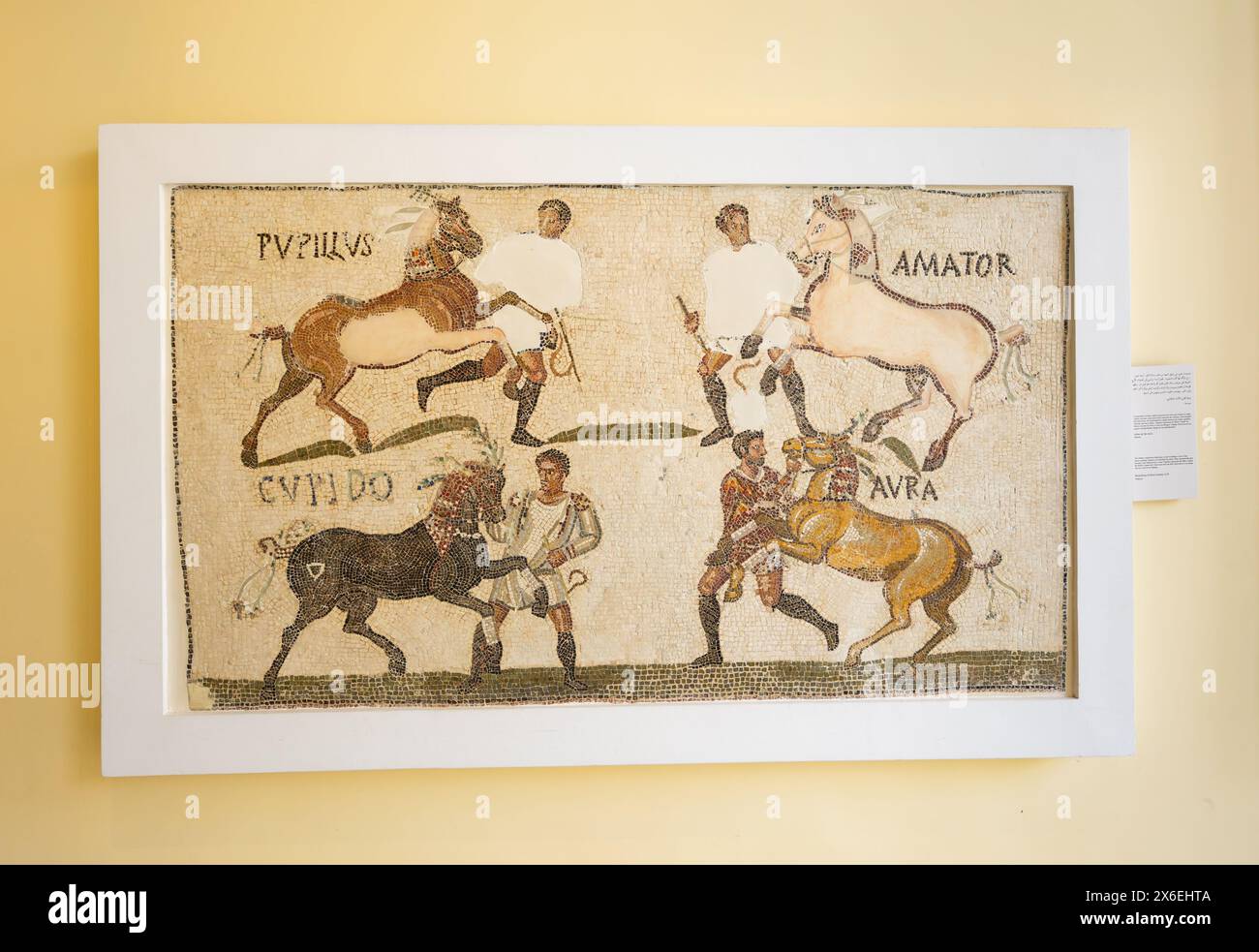 Roman horse racing mosaic at Sousse Archaeological Museum Stock Photo ...