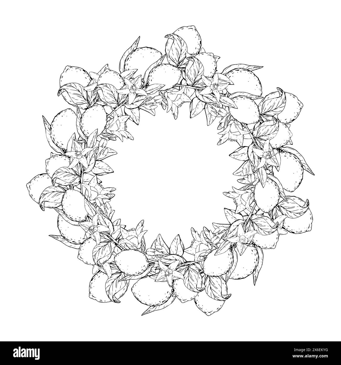 Branch line art frame hi-res stock photography and images - Alamy