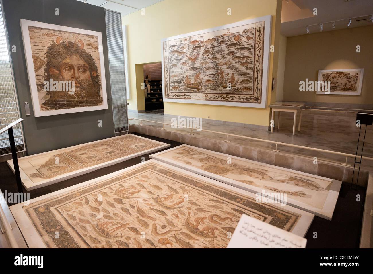 Collection of Roman mosaics displayed in Sousse Archaeological Museum ...