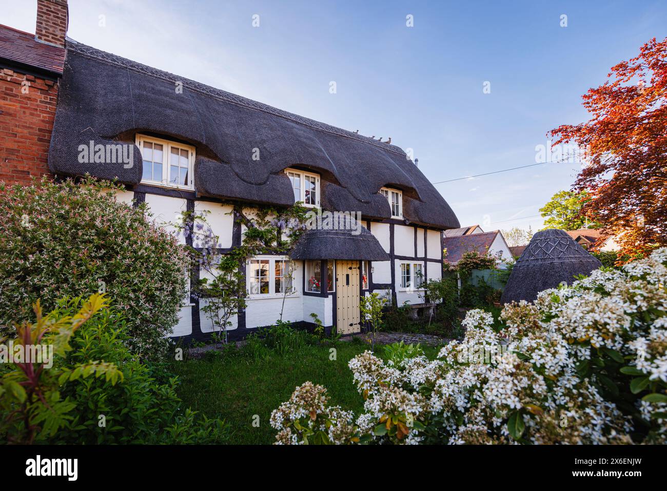 The front of a pretty thatched white timbered cottage in Callow End, a ...