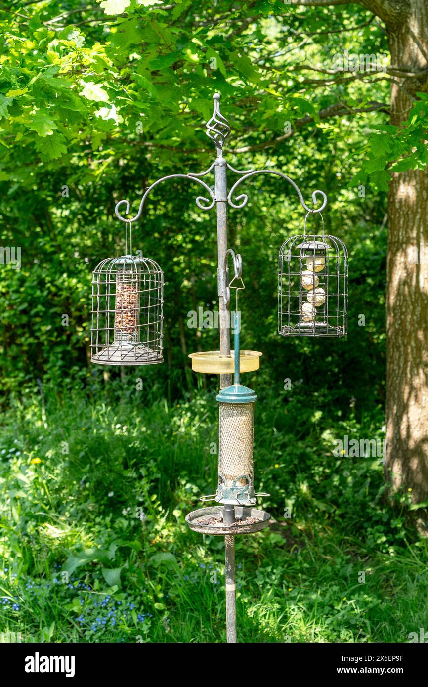 Squirrel proof bird feeder Stock Photo - Alamy