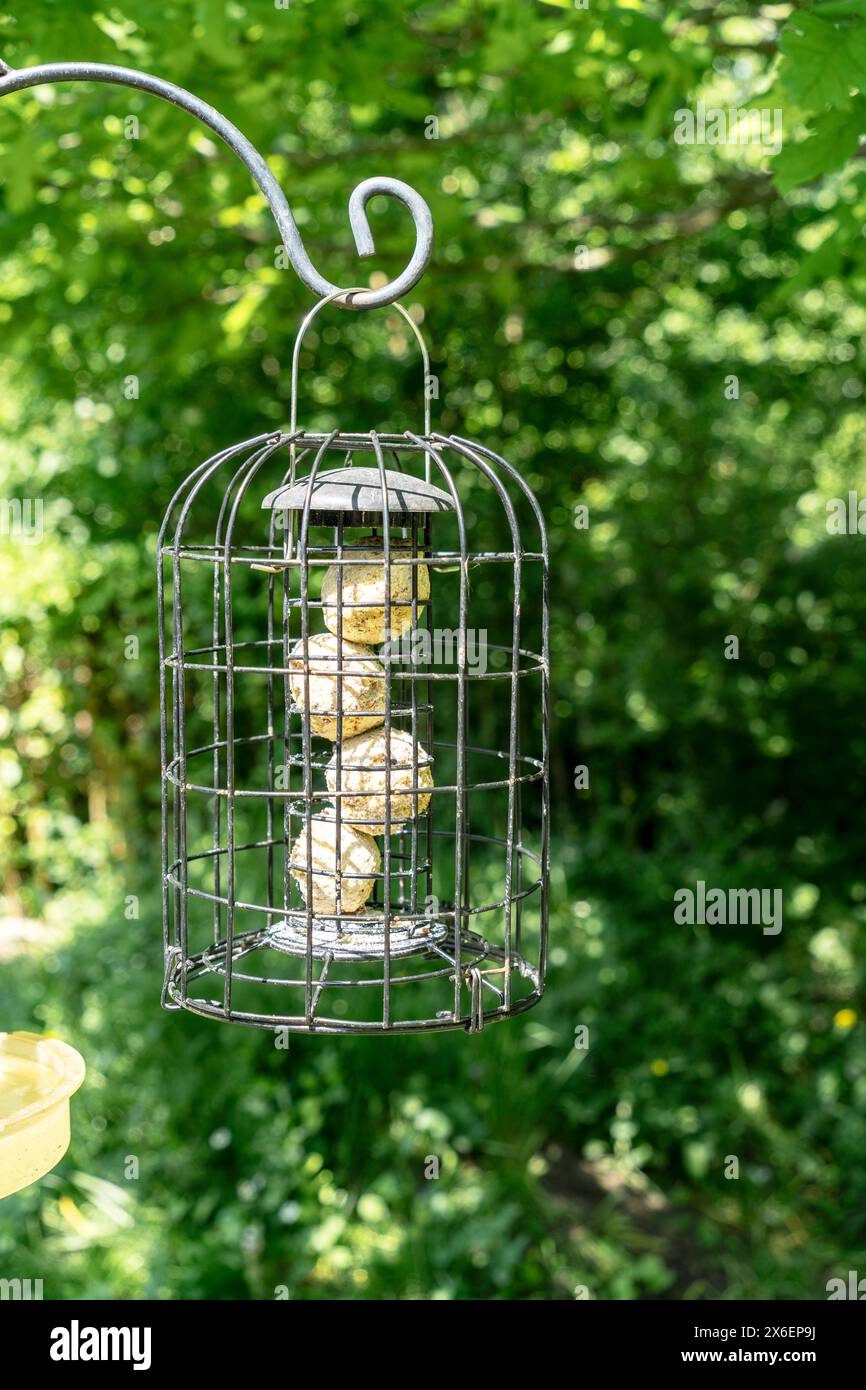 Squirrel proof bird feeder Stock Photo - Alamy