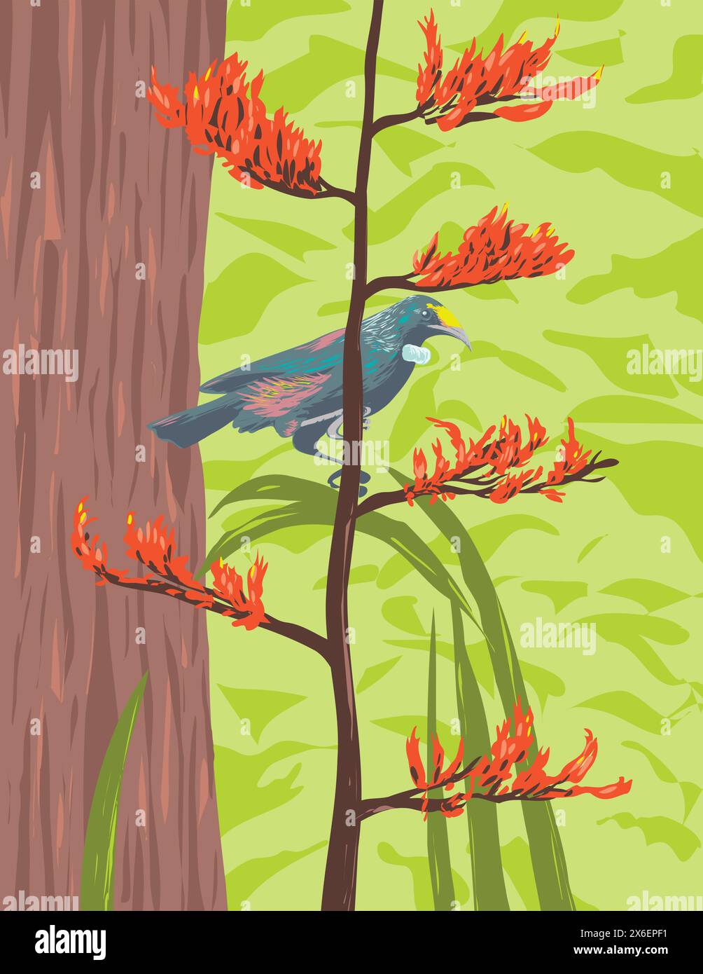 Tui bird habitat Stock Vector Images - Alamy