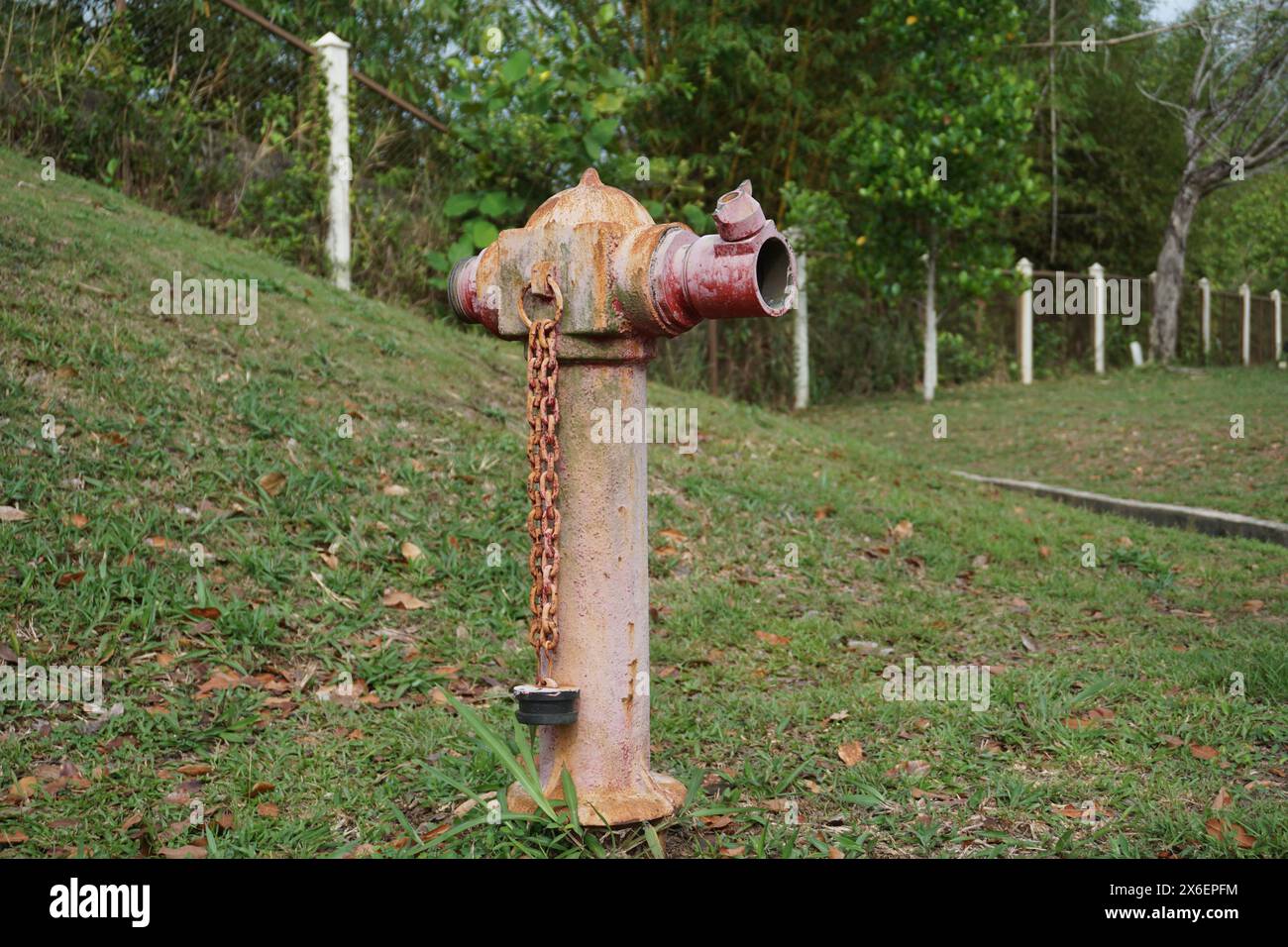 The fire hydrant stands alone with its green streaks that have faded ...