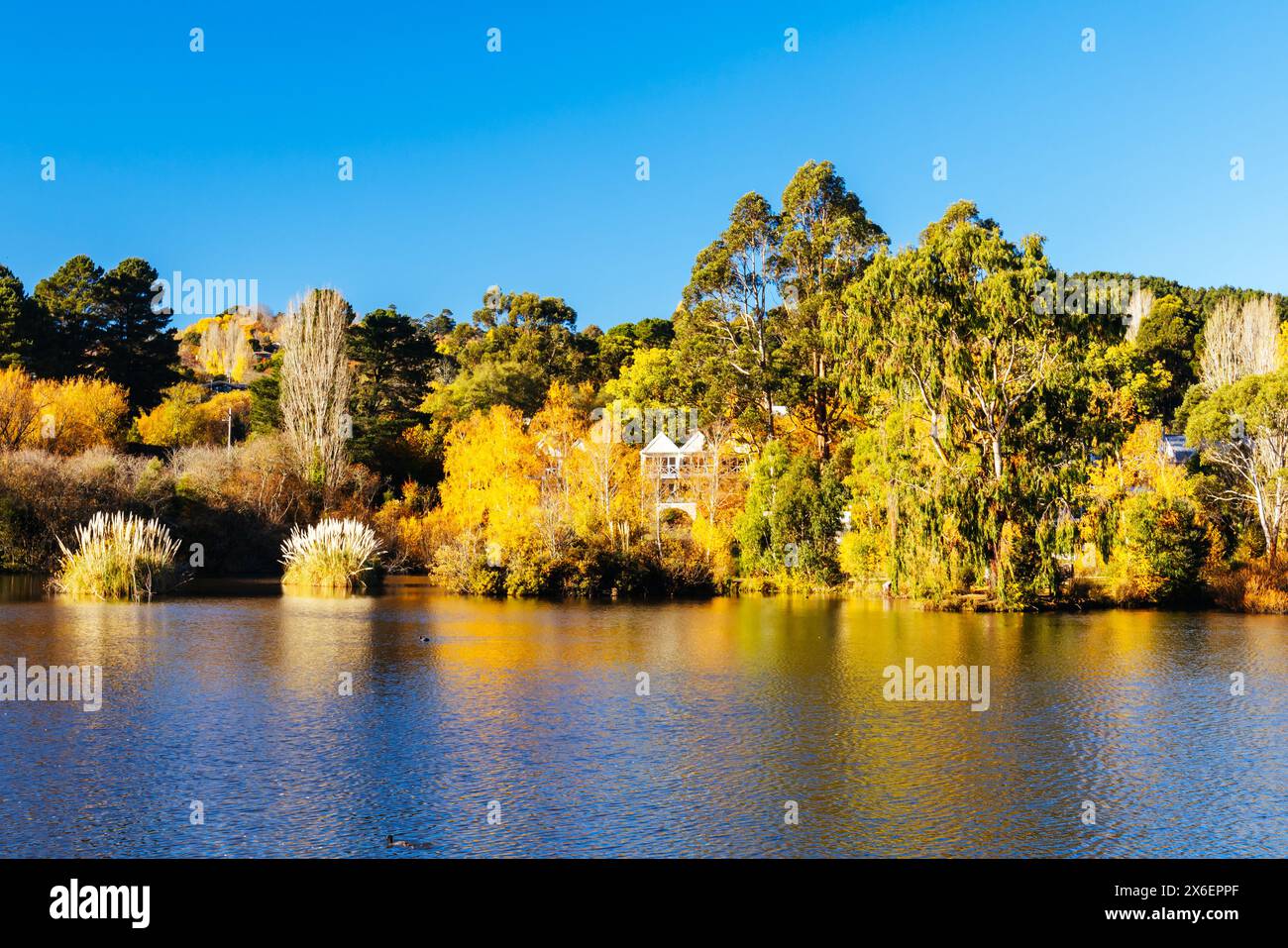 DAYLESFORD, AUSTRALIA - MAY 12 2024: Landscape around Lake Daylesford ...