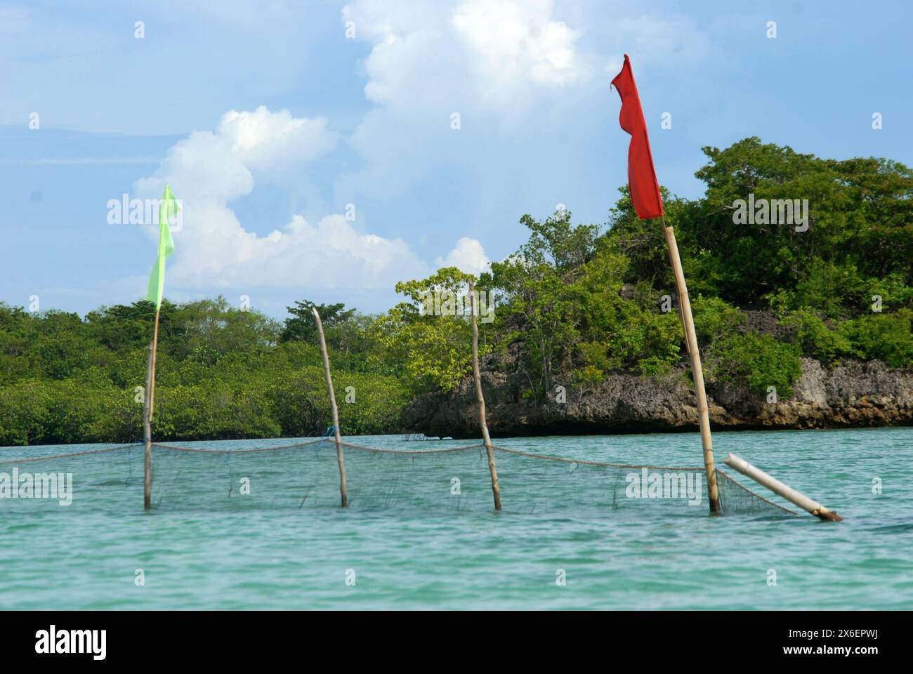 Poles with red flag to indicate position of fishing pots. Piagao ...