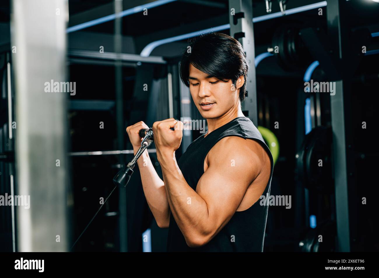 Tricep pull down machine hi-res stock photography and images - Alamy