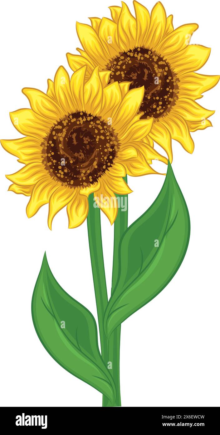 Realistic detailed sunflowers bouquet Vector Stock Vector Image & Art ...