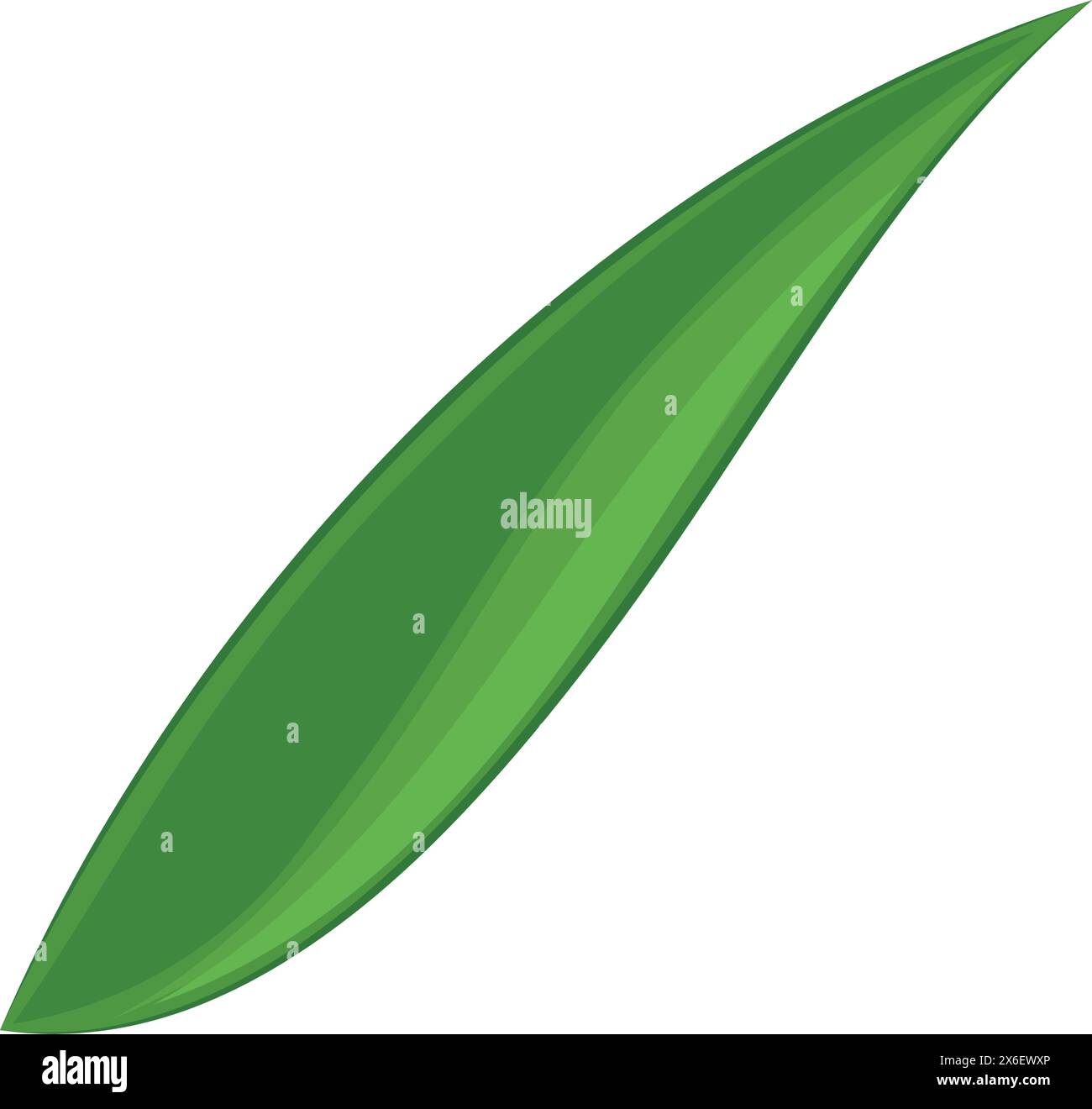 Realistic detailed leaf Vector Stock Vector Image & Art - Alamy