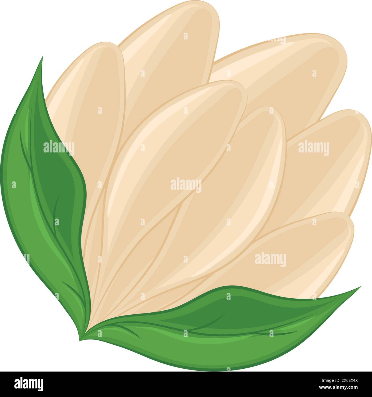 Realistic detailed flower Vector Stock Vector Image & Art - Alamy