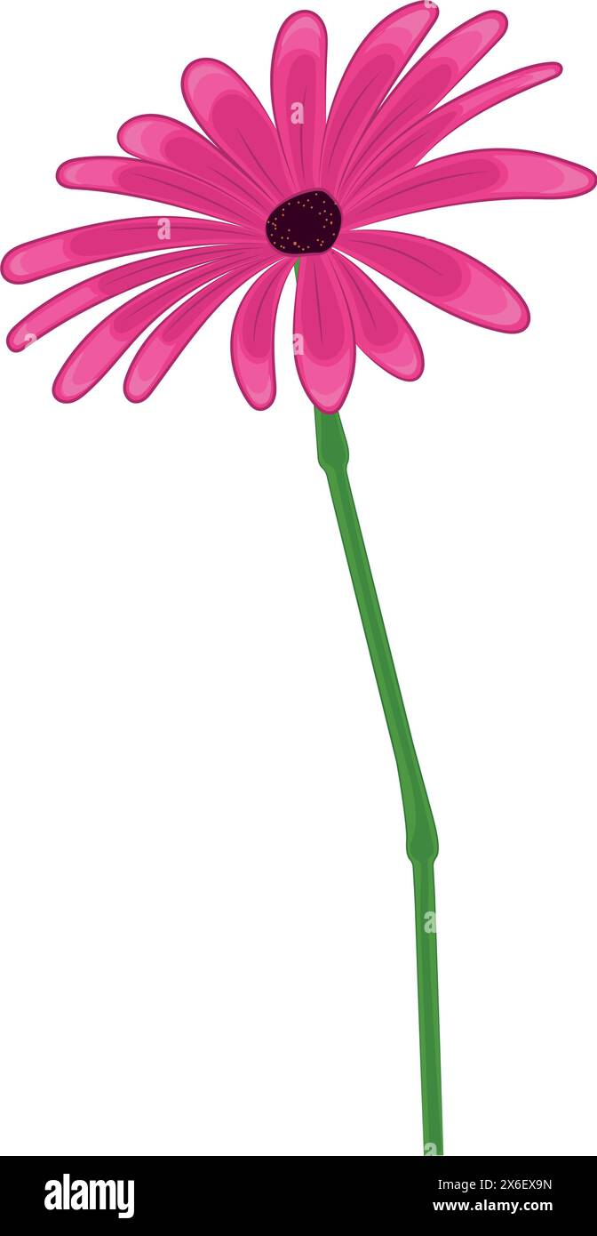 Realistic detailed daisy flower Vector Stock Vector Image & Art - Alamy