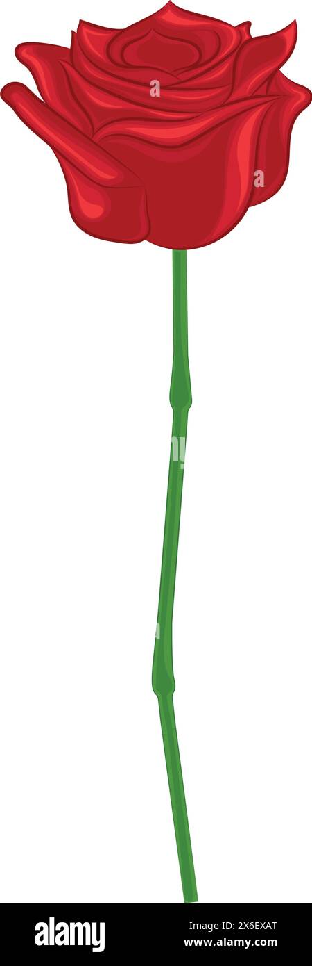 Realistic detailed rose flower Vector Stock Vector Image & Art - Alamy