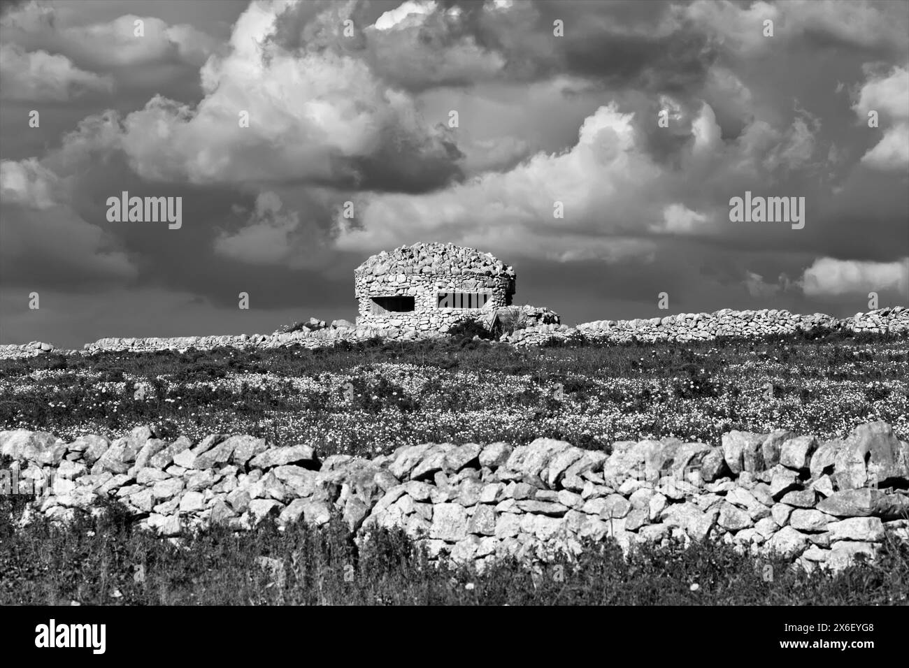 Italy, Sicily, Marina di Ragusa, countryside, second world war german ...