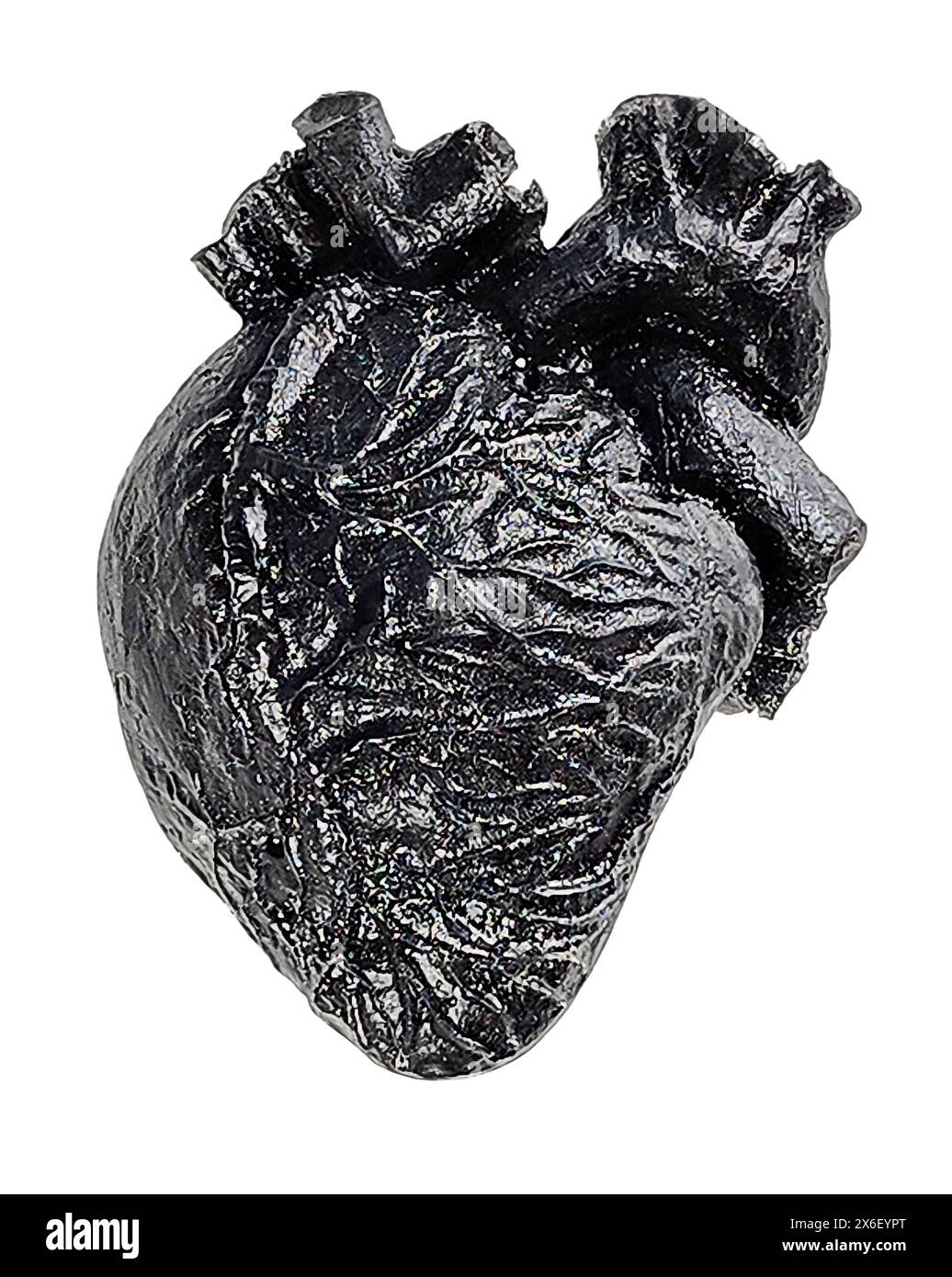 A model of the human heart blackened by anger and heartbreak Stock ...