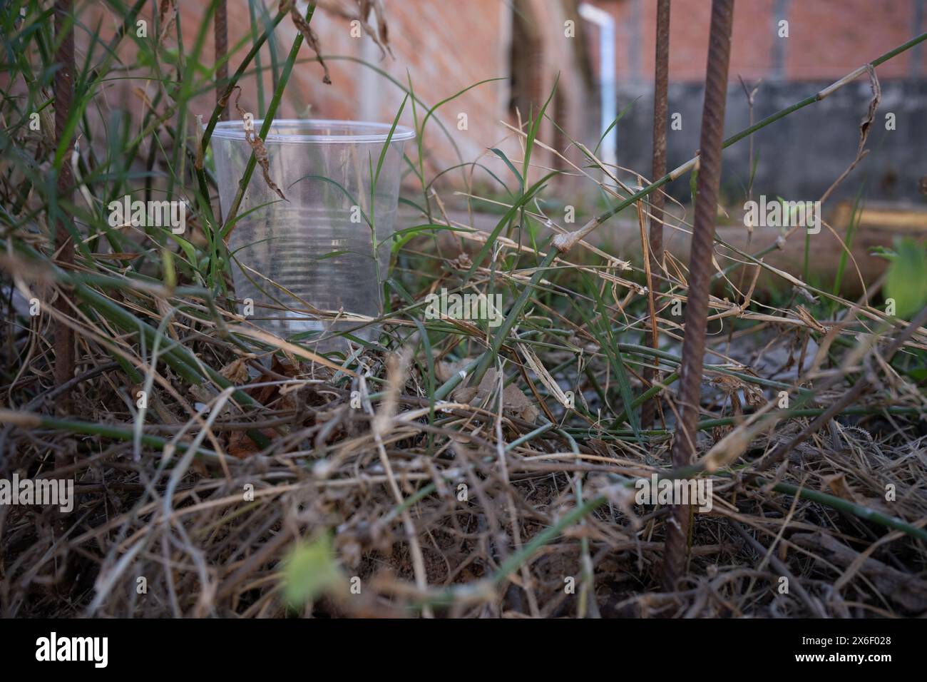 Plastic cup waste. The big problem of plastic cup is that it's ...