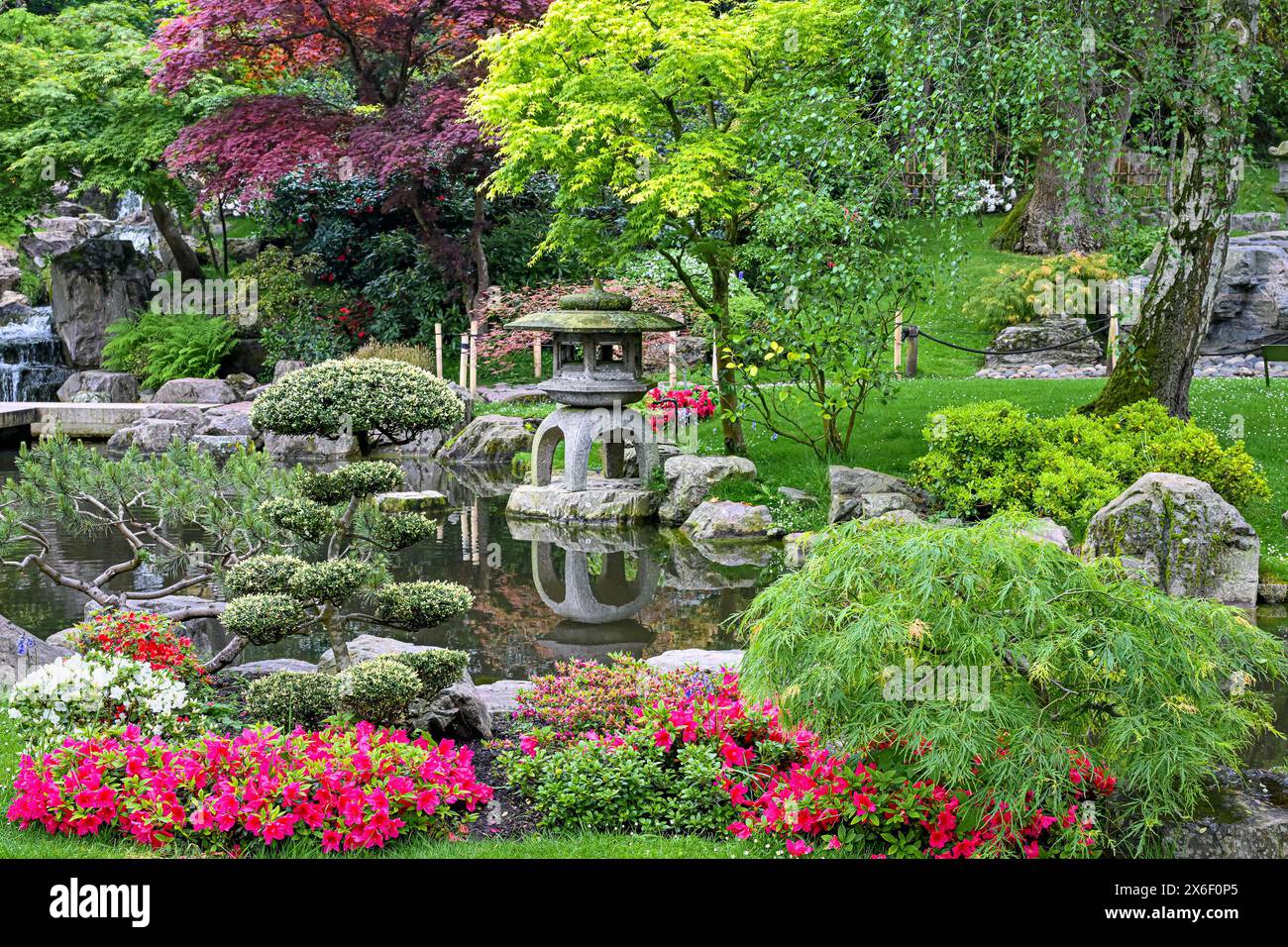 Kyoto Japanese Garden, Holland Park, Kensington, London, England, U.K Stock Photo - Alamy