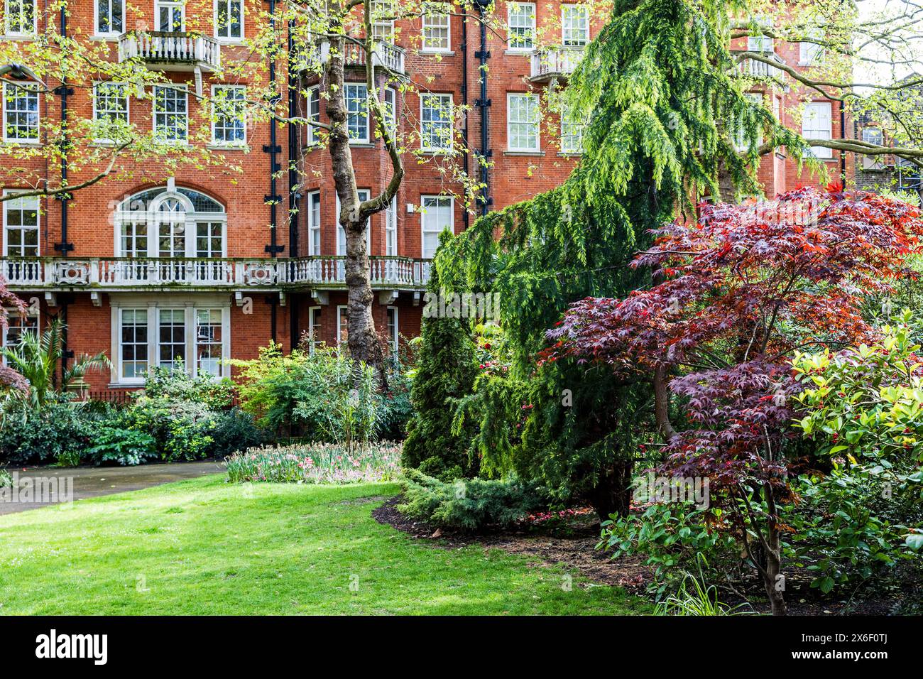 Mount Street Gardens, London, Monday, April 29, 2024. Photo: David ...