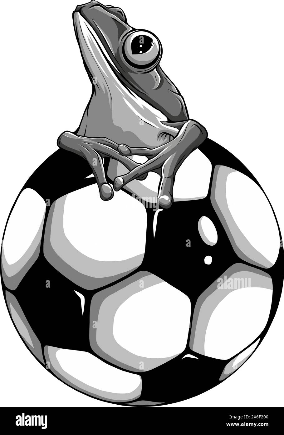 vector illustration of monochrome frog sitting on football ball Stock ...
