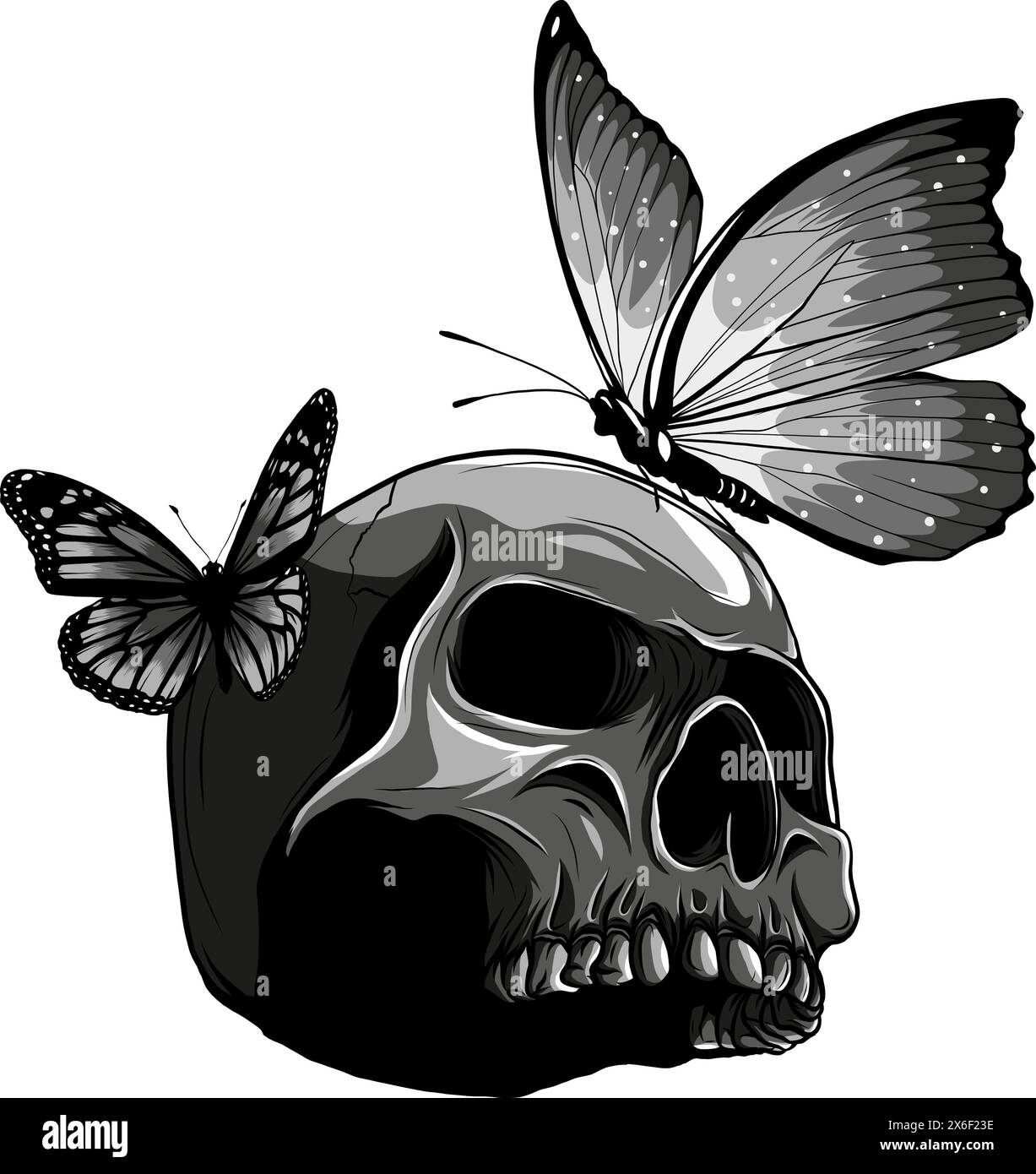 Skull with butterfly monochrome vector illustration isolated on white ...