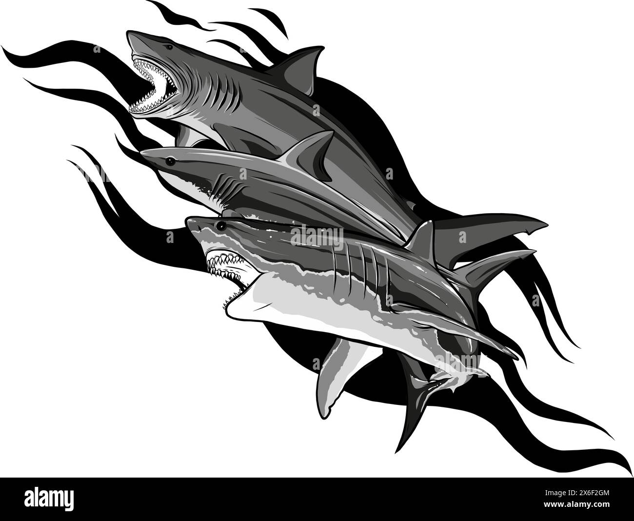 Set of monochrome Shark vector silhouettes. Sea fish, animal swimming ...