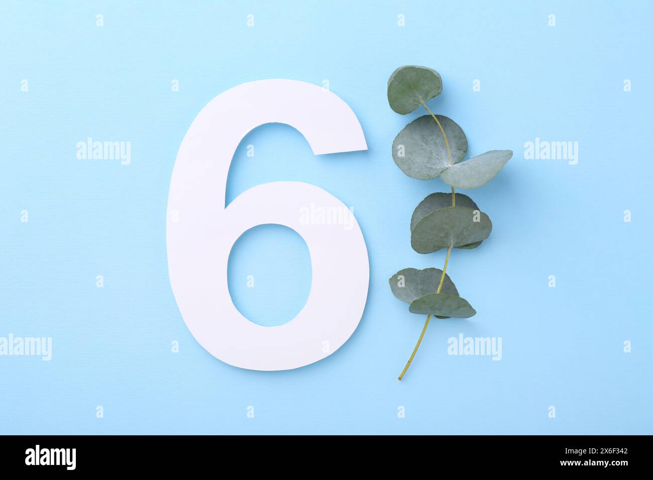 Paper number 6 and eucalyptus branch on light blue background, top view ...