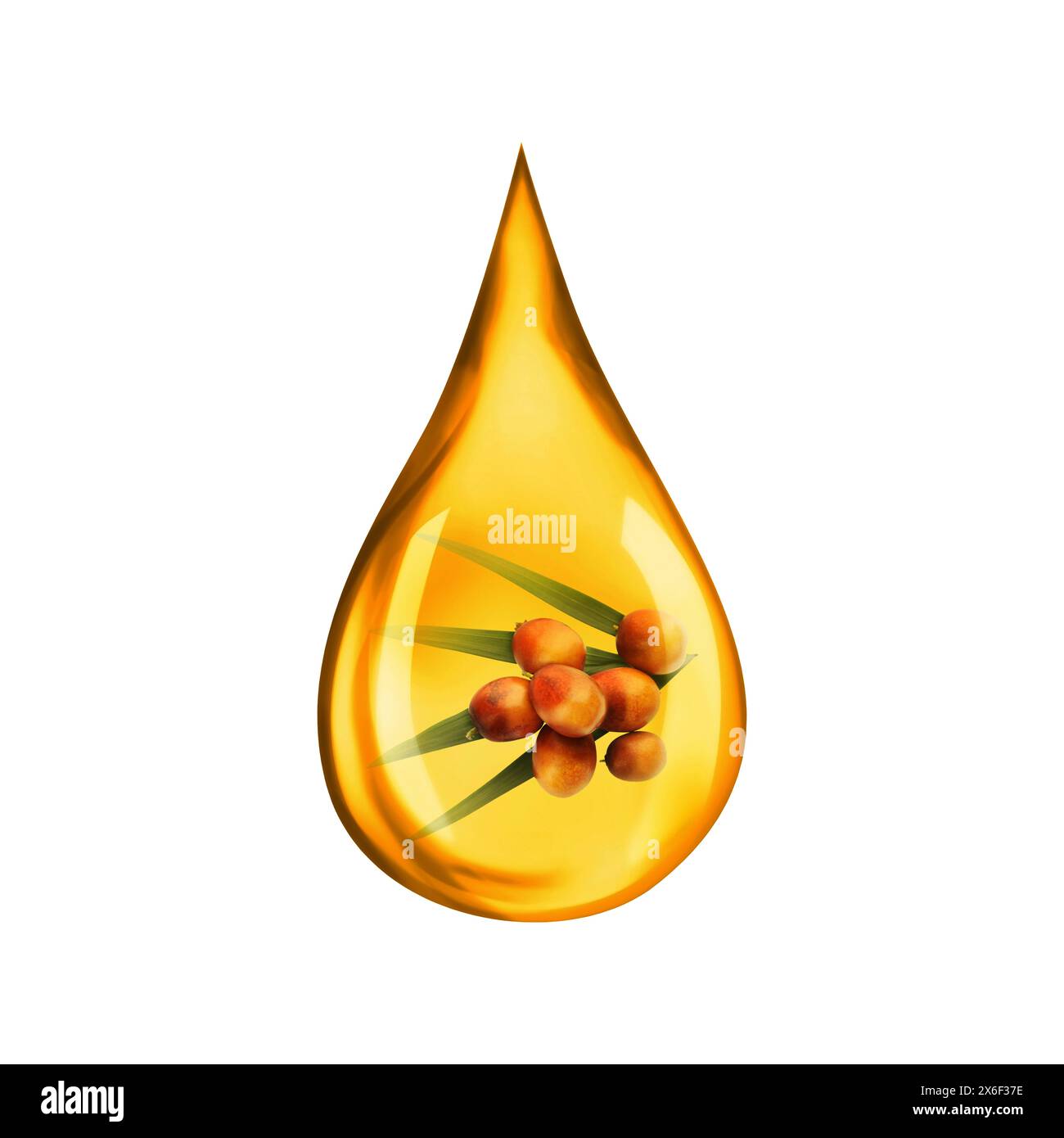 Cooking oil drop with palm leaf and fruits isolated on white Stock ...