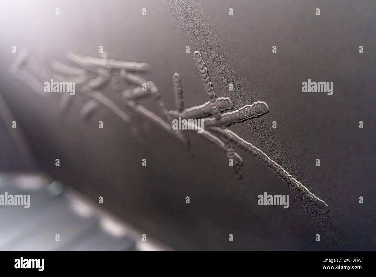 Engraved Logo Detail Inside the Open Frunk of a Tesla Cybertruck Stock ...