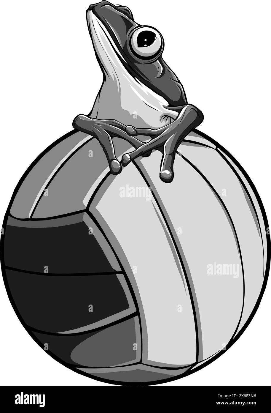 vector illustration of frog with volleyball ball on white background ...