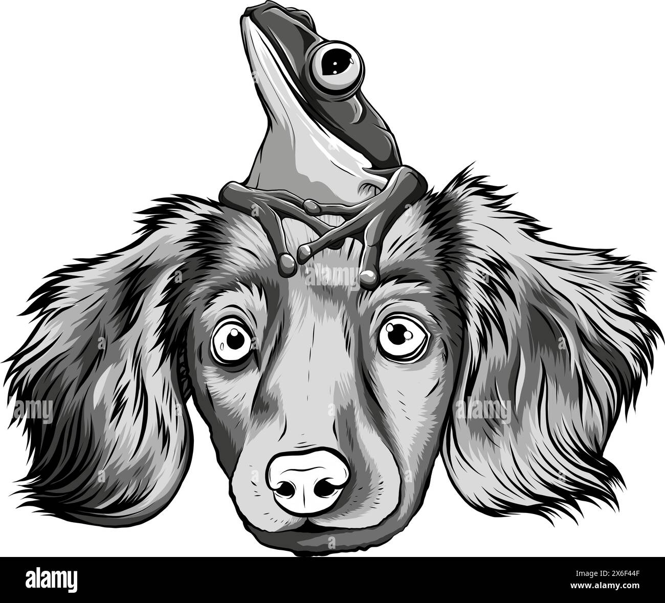 vector illustration of monochrome dog and frog cartoon Stock Vector ...