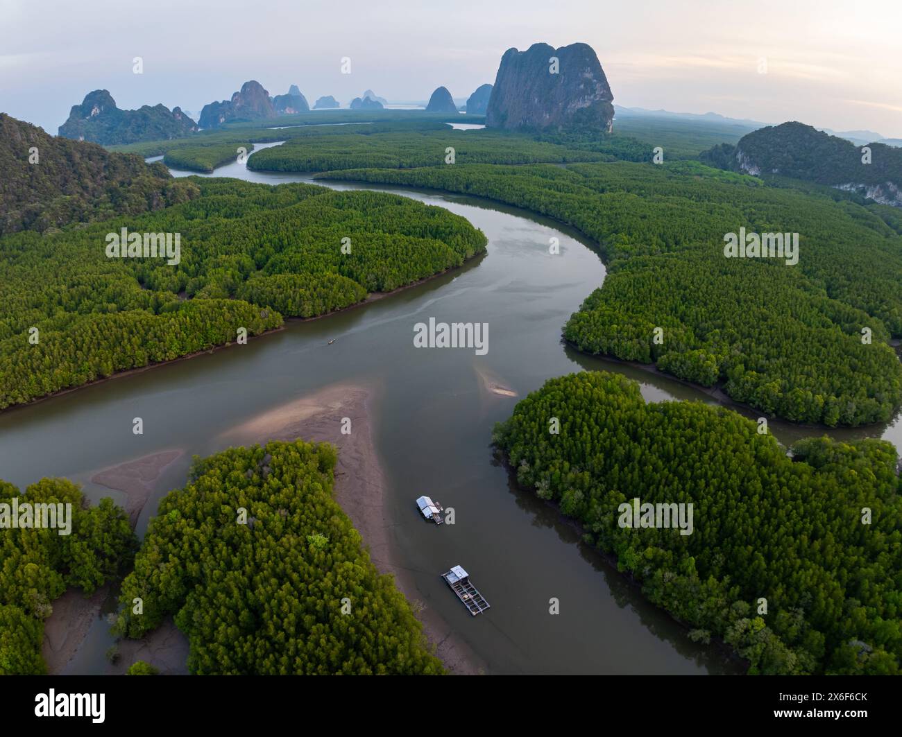 Amazing abundant mangrove forest, Aerial view of forest trees ...