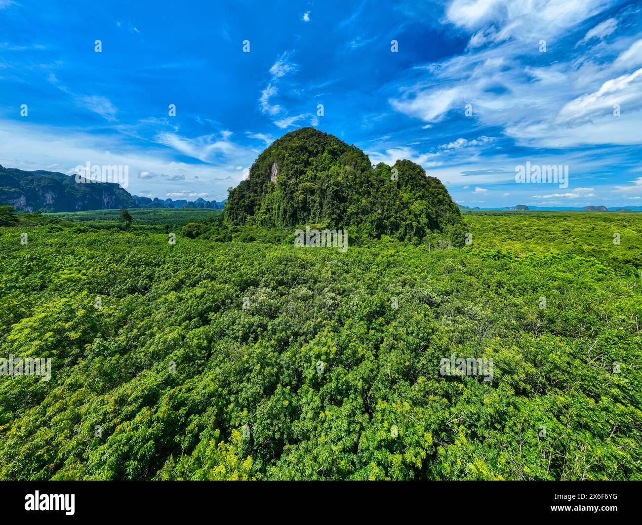 Aerial view Drone camera rainforest trees ecology with healthy ...