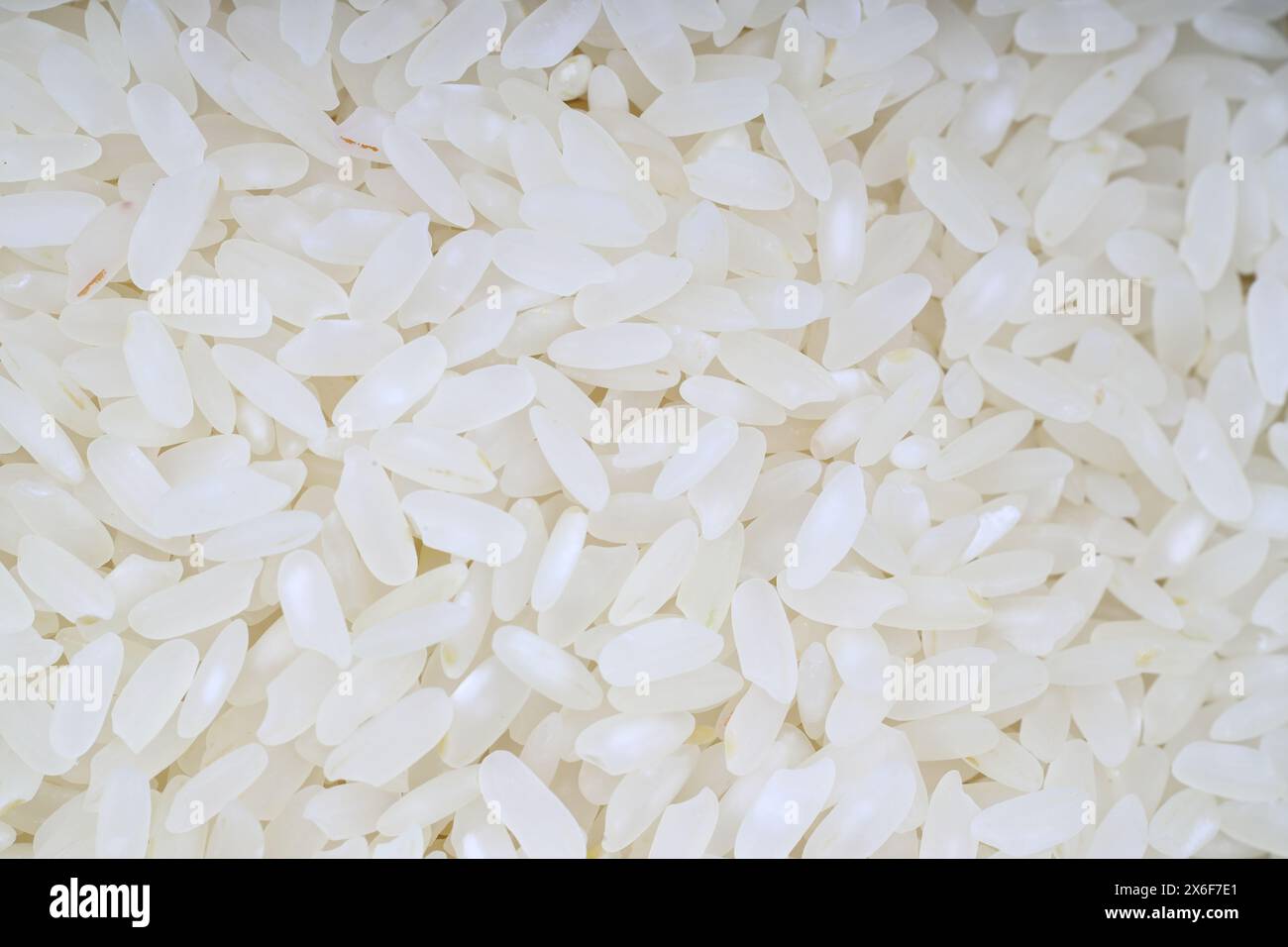 Top view of polished long raw rice background. Organic, natural white ...