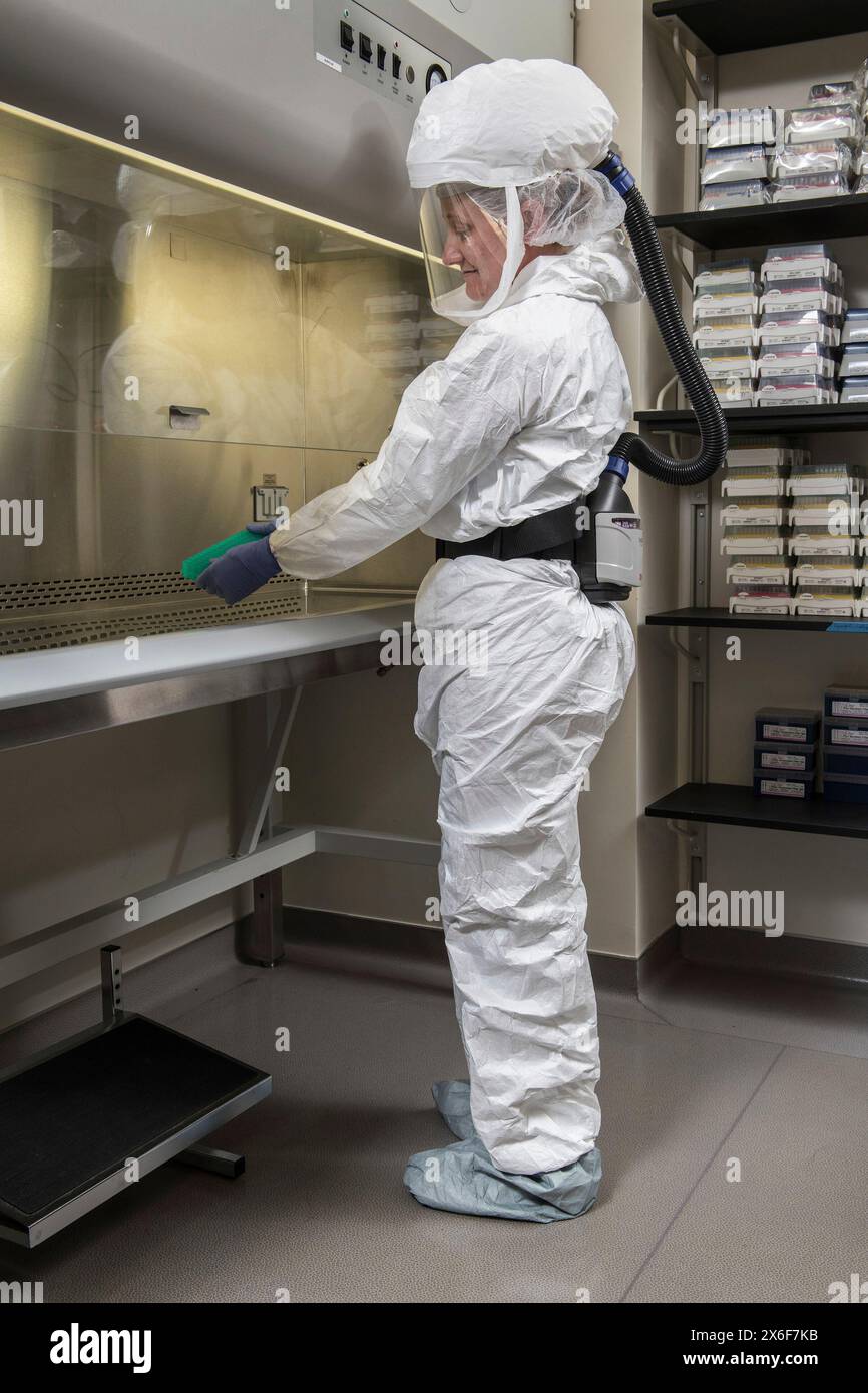 Scientist using a class II biological safety cabinet. This is an ...