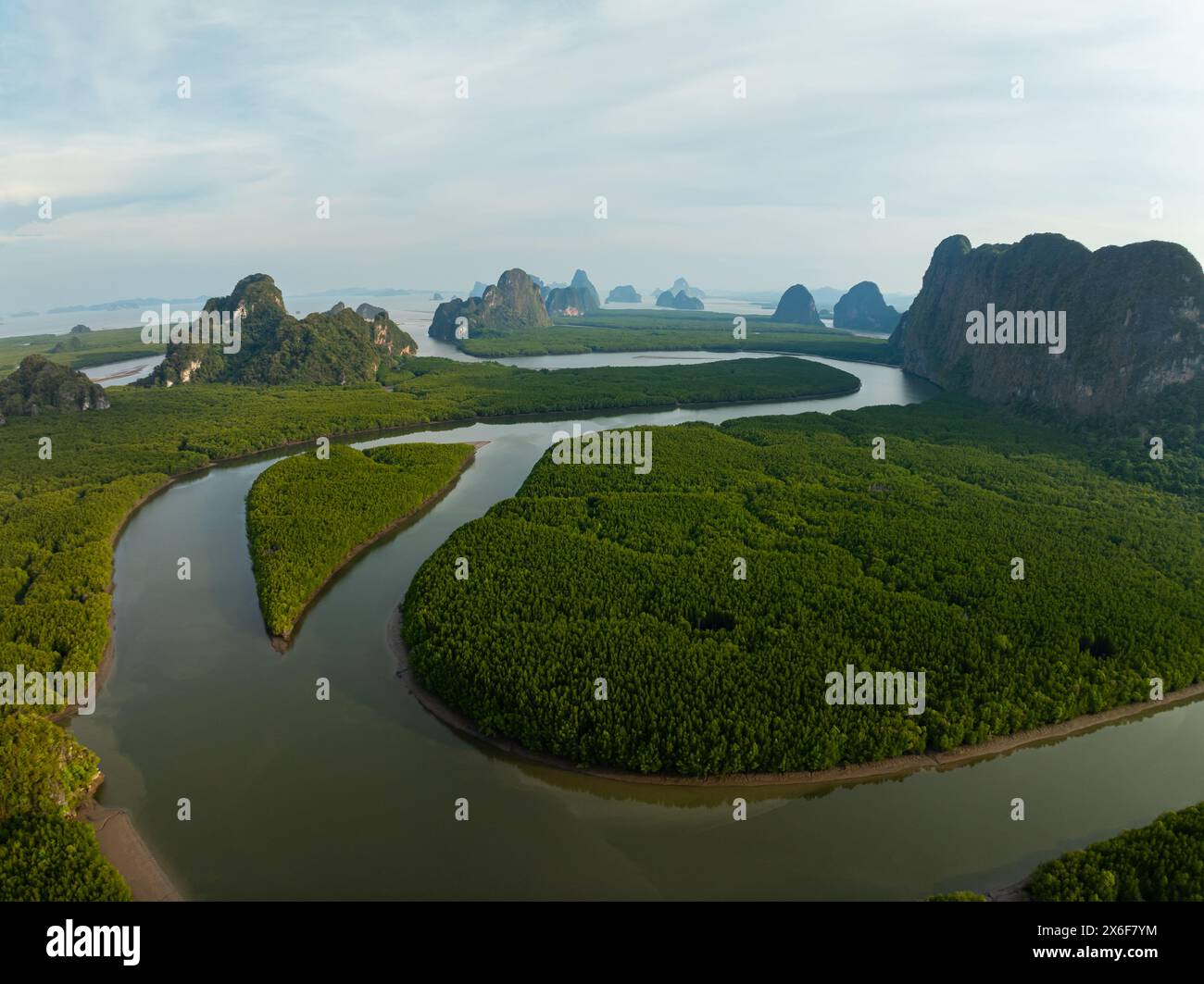 Amazing abundant mangrove forest, Aerial view of forest trees ...