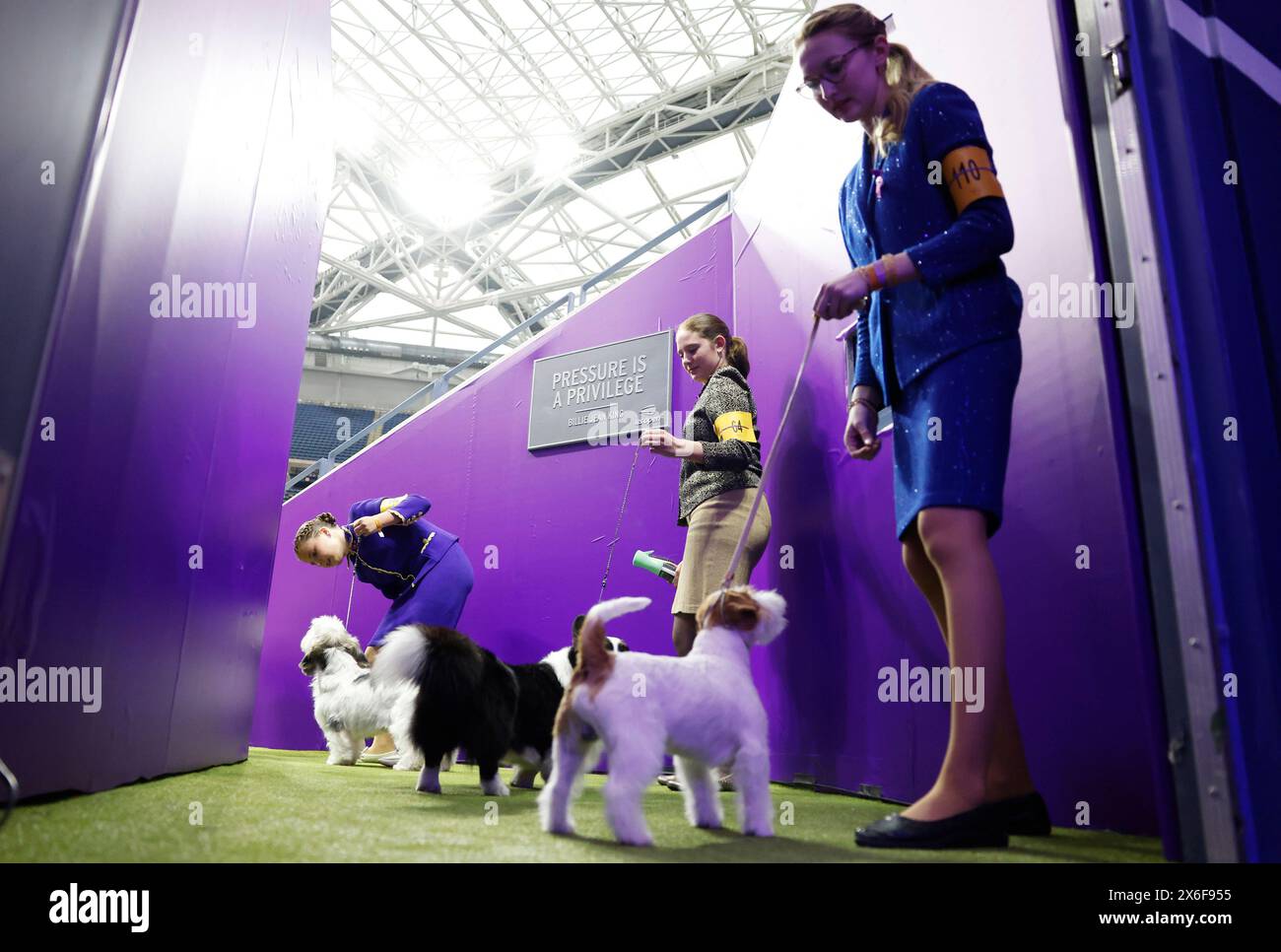 New York, United States. 14th May, 2024. Handlers wait to be introduced ...