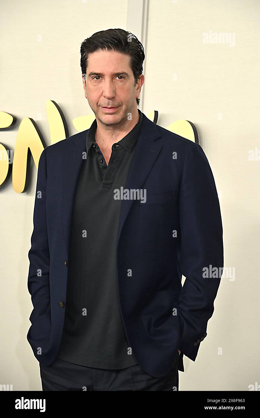 David Schwimmer attends the Disney 2024 Upfront Red Carpet at North ...