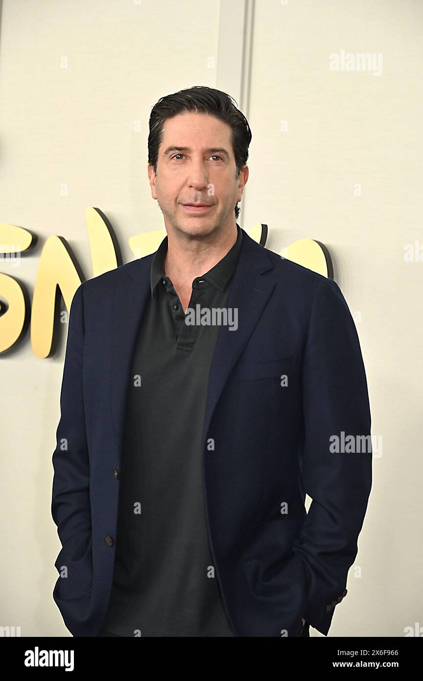 David Schwimmer attends the Disney 2024 Upfront Red Carpet at North ...