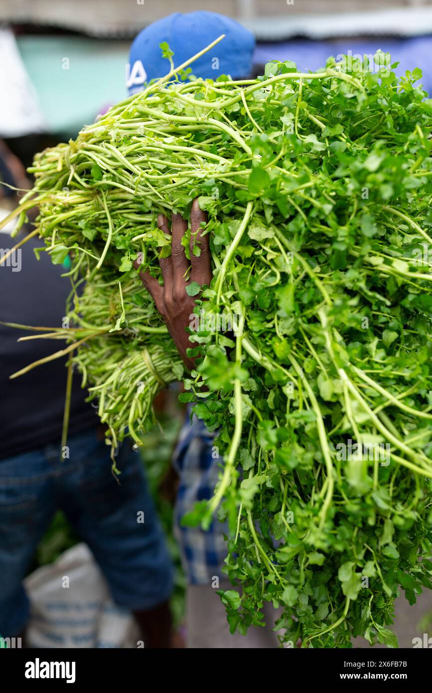 Fresh vegetables for sale at Mercado Taibesi, Dili, Timor-Leste Stock ...