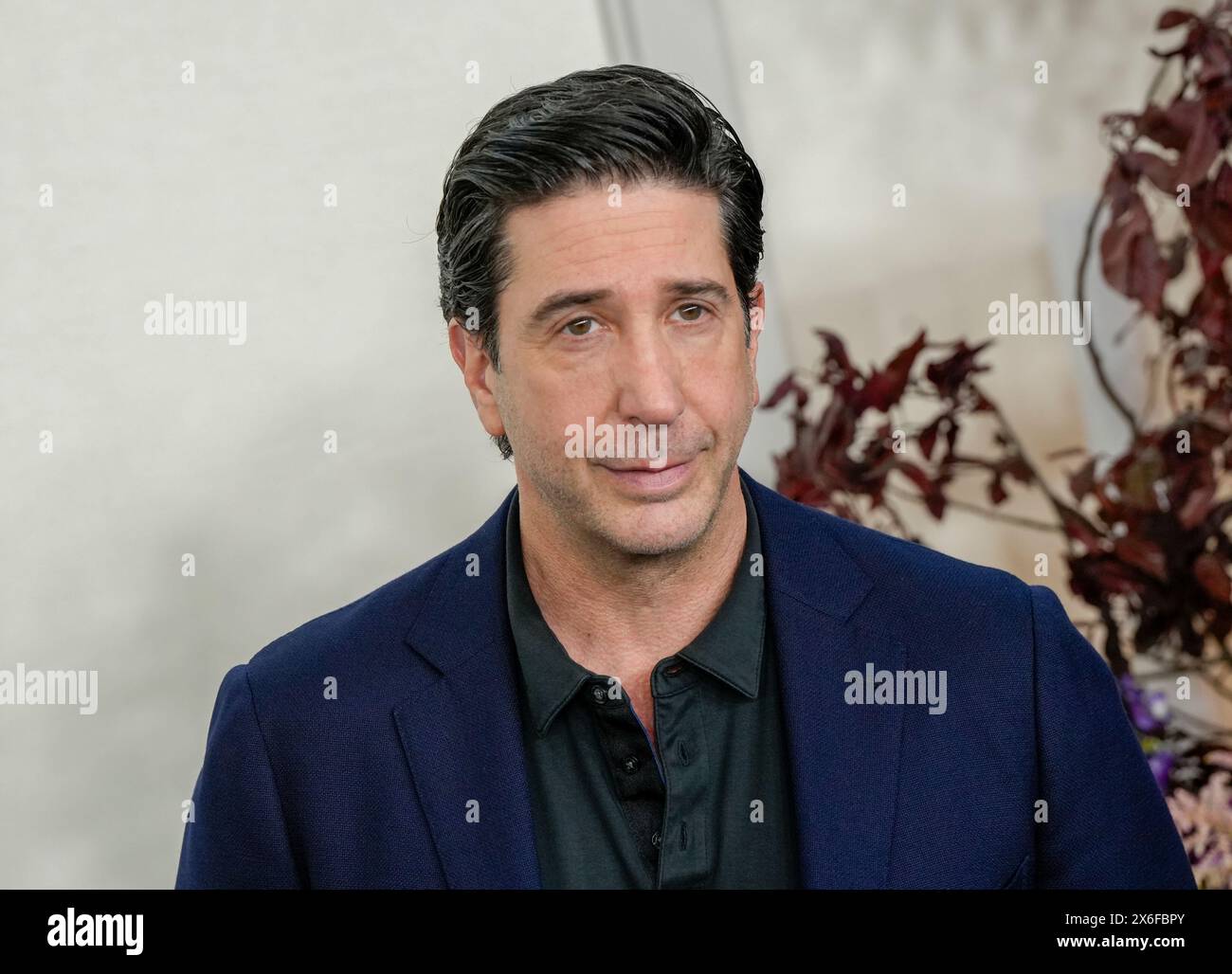 Patti lupone 2024 upfront hi-res stock photography and images - Alamy