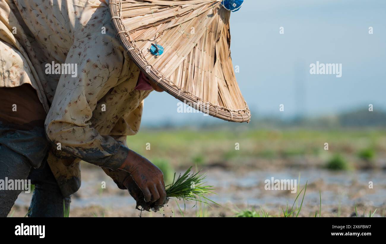 Farm work in morning hi-res stock photography and images - Alamy