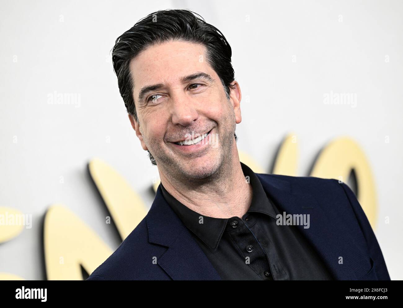 David Schwimmer attends the Disney 2024 Upfront at the North Javits Center on Tuesday, May 14 ...