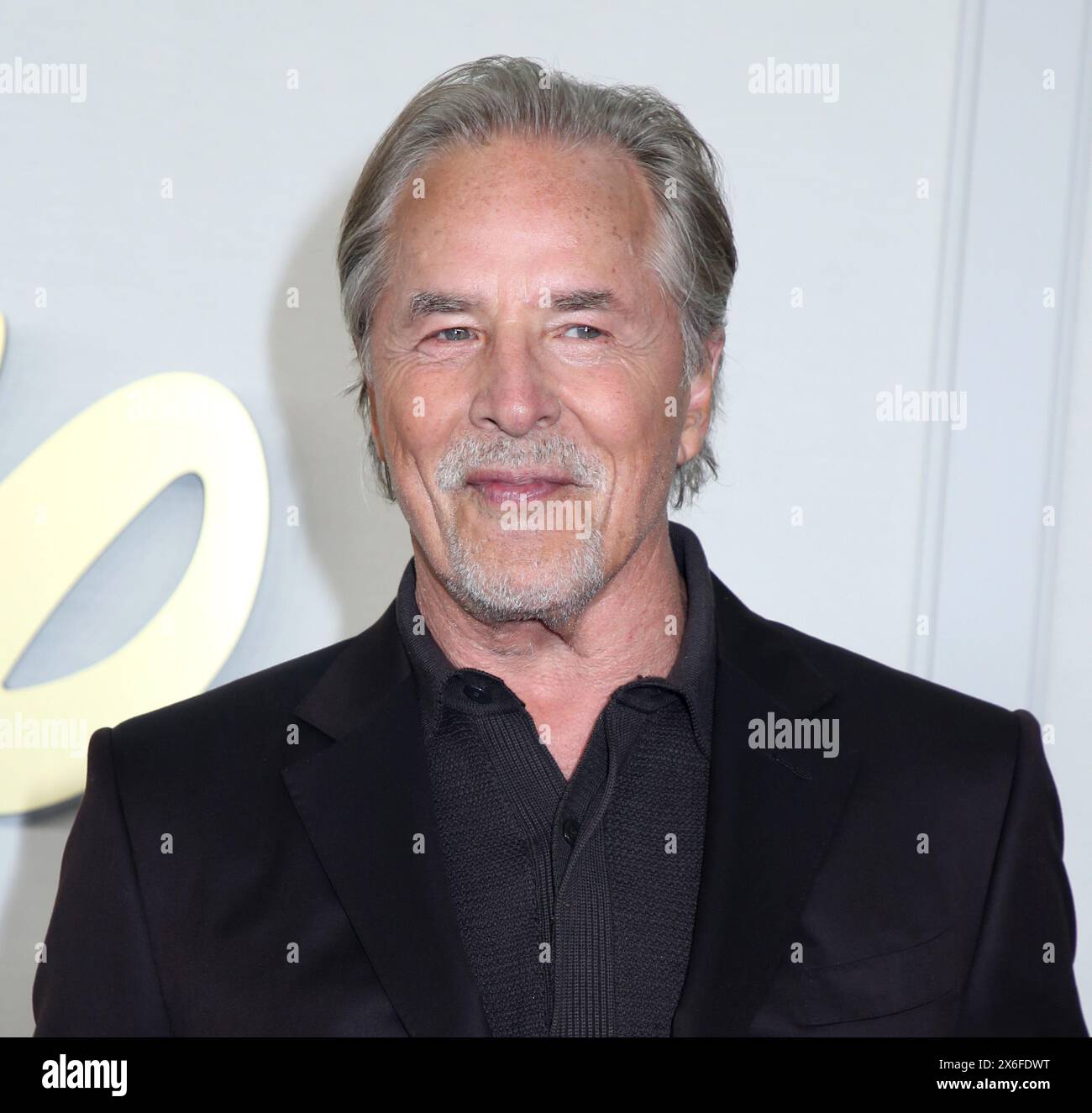 Don Johnson Latest Photos
