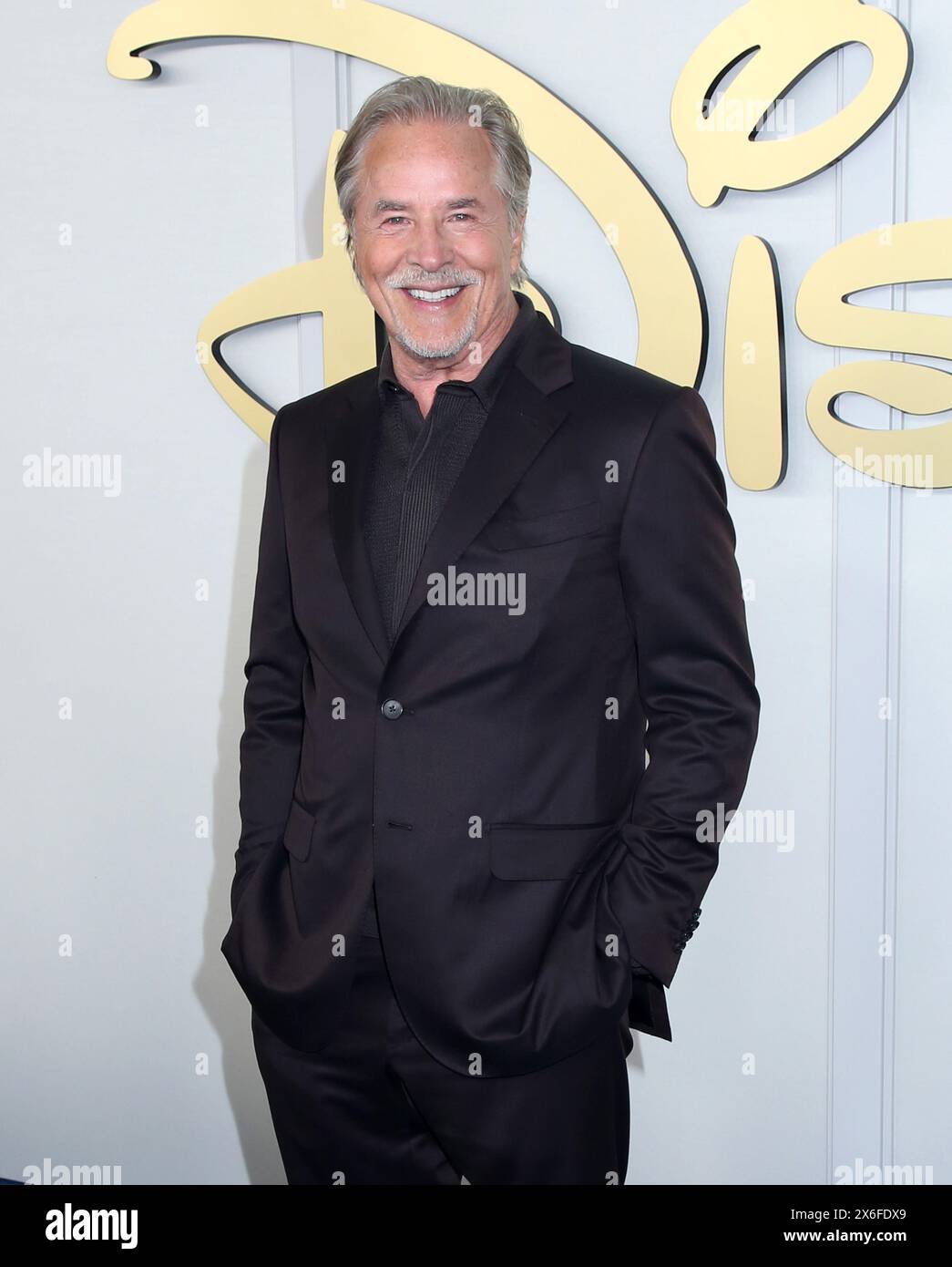 Don Johnson 2024 Vrouw